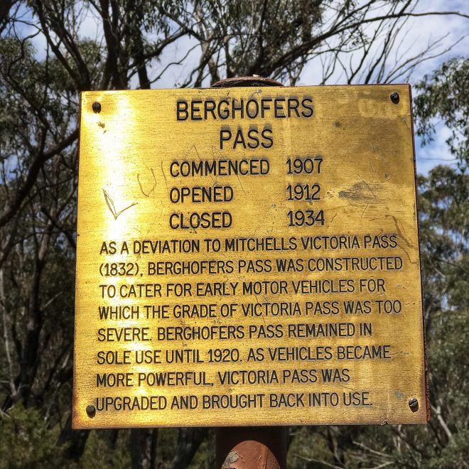 Berghofers Pass Mount Victoria a wonderful kid friendly walk