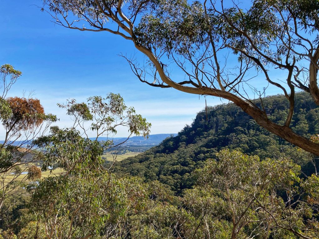 Berghofers Pass Mount Victoria a wonderful kid friendly walk