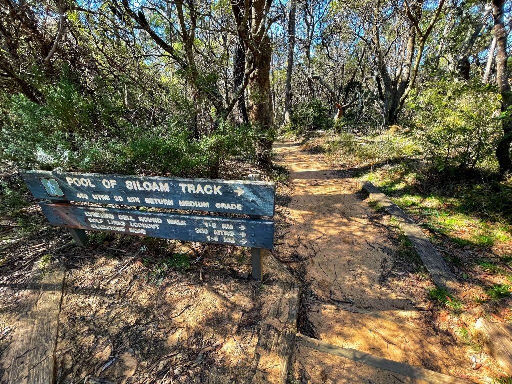 Pool of Siloam and Lyrebird Dell Leura