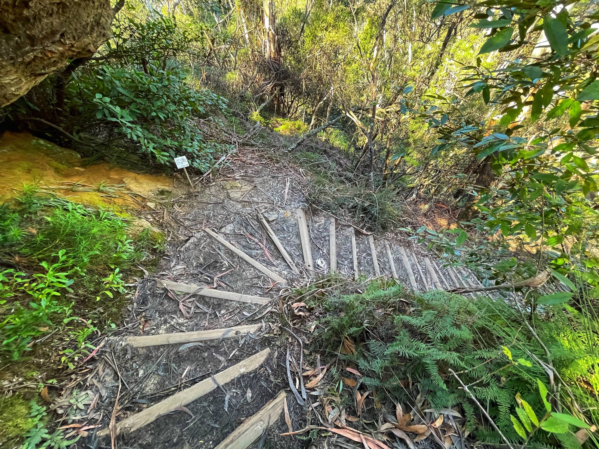 Pool of Siloam and Lyrebird Dell Leura