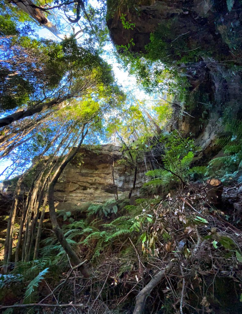 Pool of Siloam and Lyrebird Dell Leura