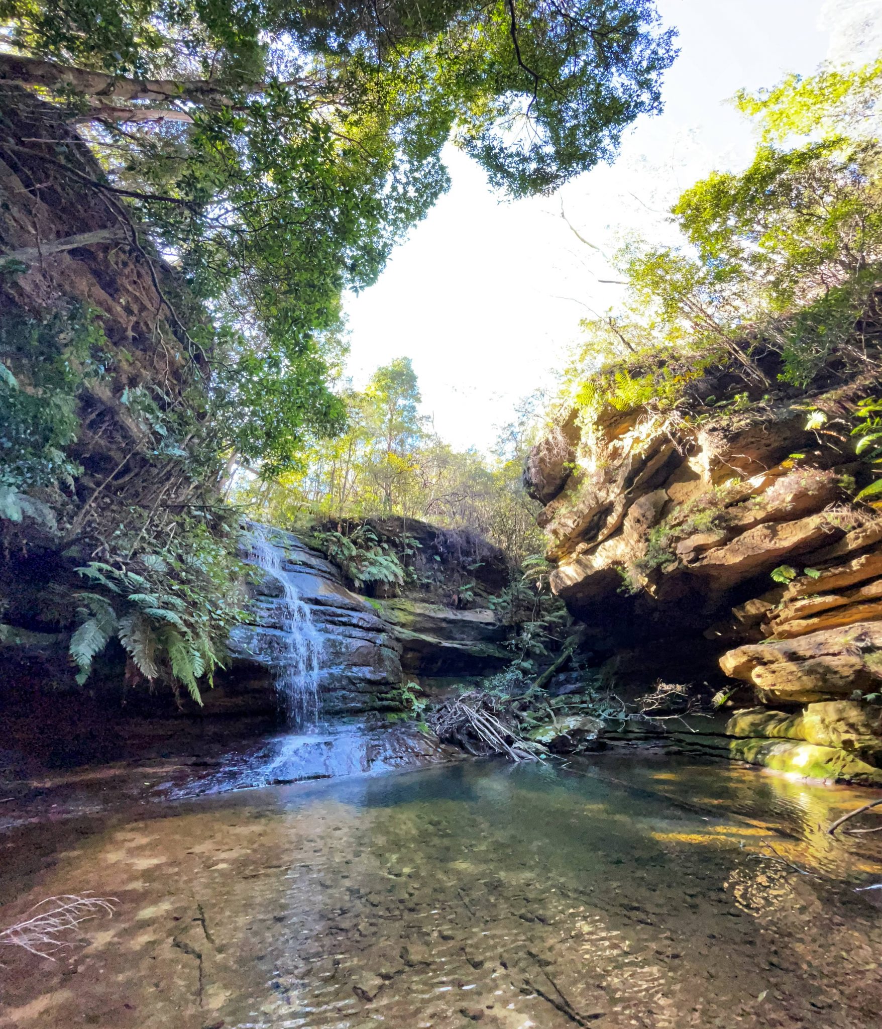 Pool of Siloam and Lyrebird Dell Leura