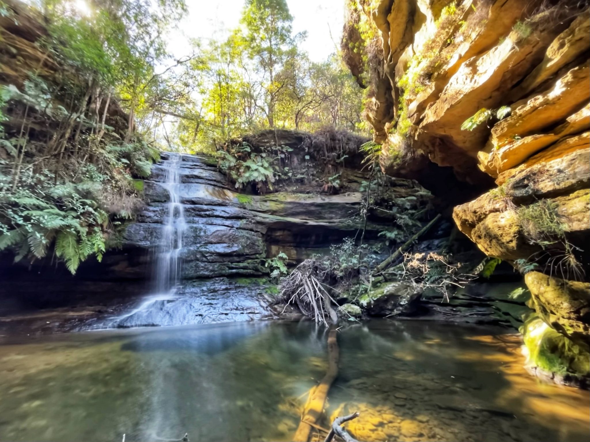 Pool of Siloam and Lyrebird Dell Leura