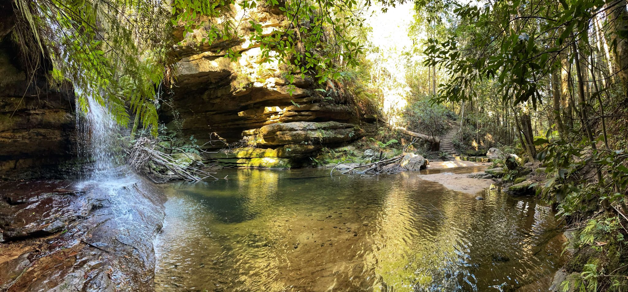 Pool of Siloam and Lyrebird Dell Leura