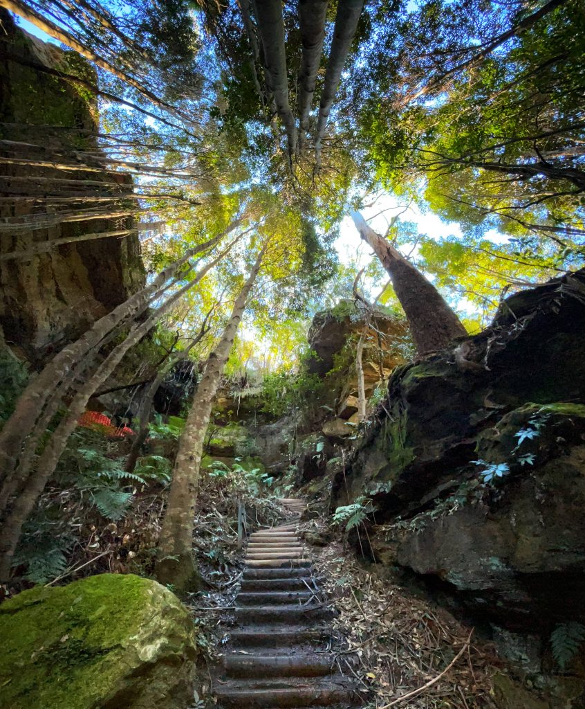 Pool of Siloam and Lyrebird Dell Leura