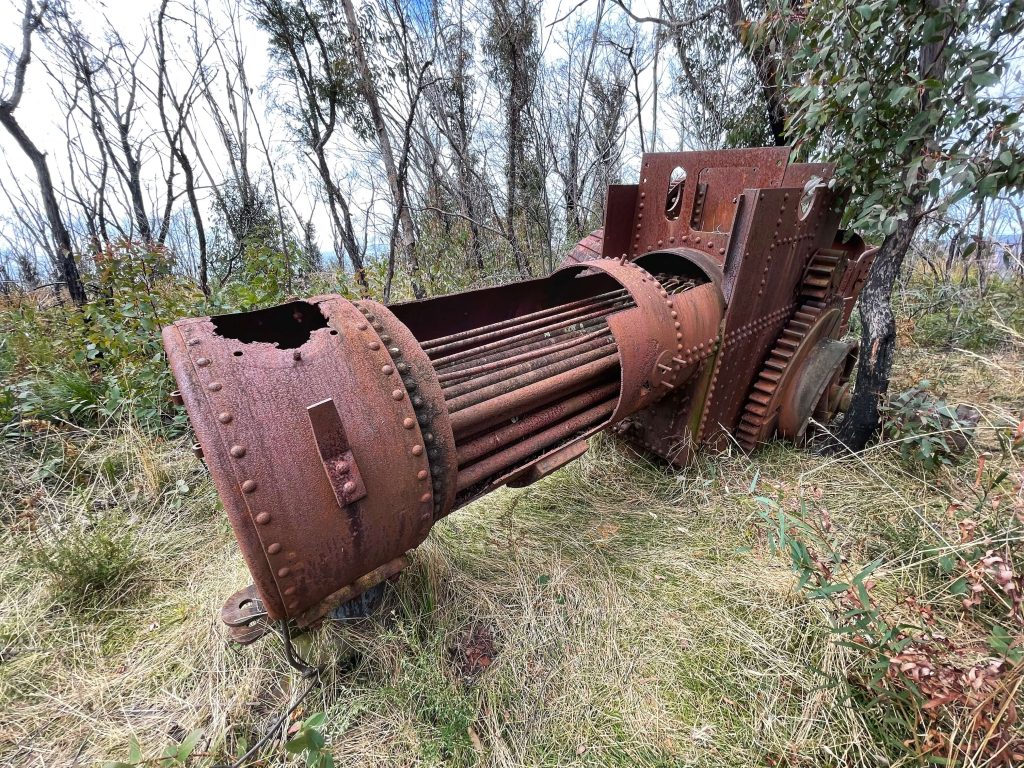 Wallace Brothers Traction Steam Engine Blackheath return walk