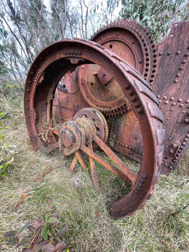 Wallace Brothers Traction Steam Engine Blackheath return walk
