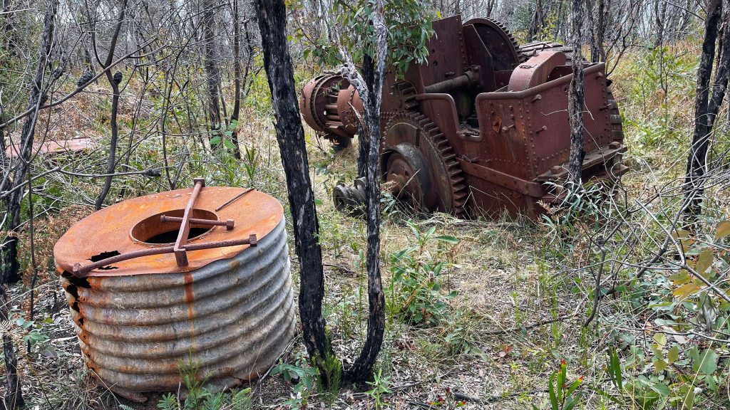 Wallace Brothers Traction Steam Engine Blackheath return walk