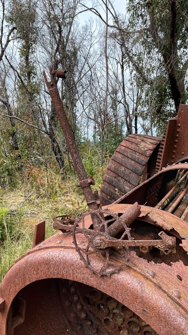 Wallace Brothers Traction Steam Engine Blackheath return walk