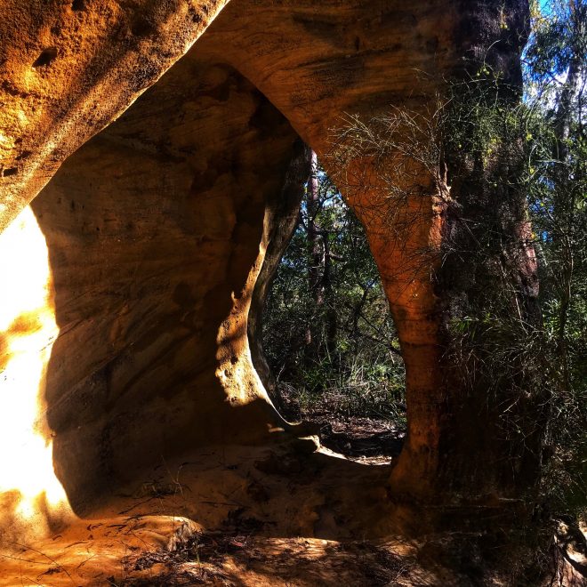 Battleship Tops and Wind Eroded Rocks Wentworth Falls