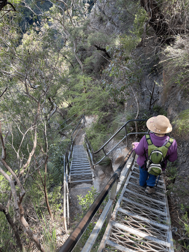 Valley of the Waters loop track via Slack Stairs Wentworth Falls