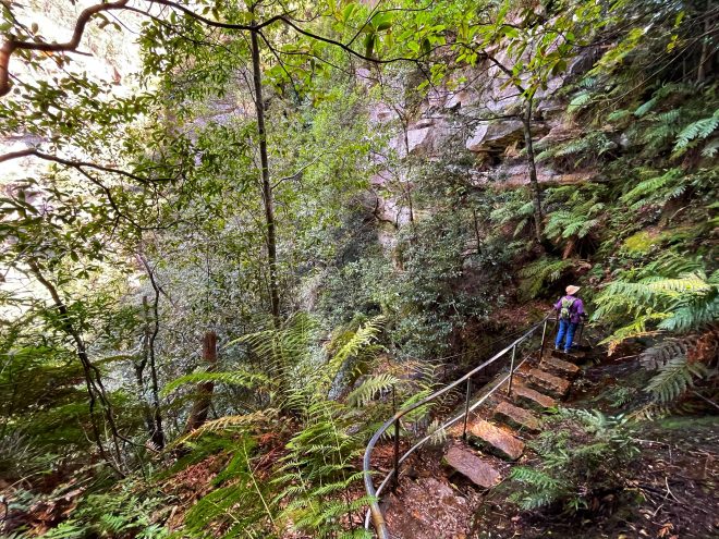 Valley of the Waters loop track via Slack Stairs Wentworth Falls