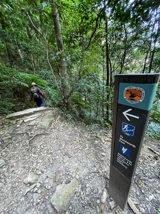 Valley of the Waters loop track via Slack Stairs Wentworth Falls