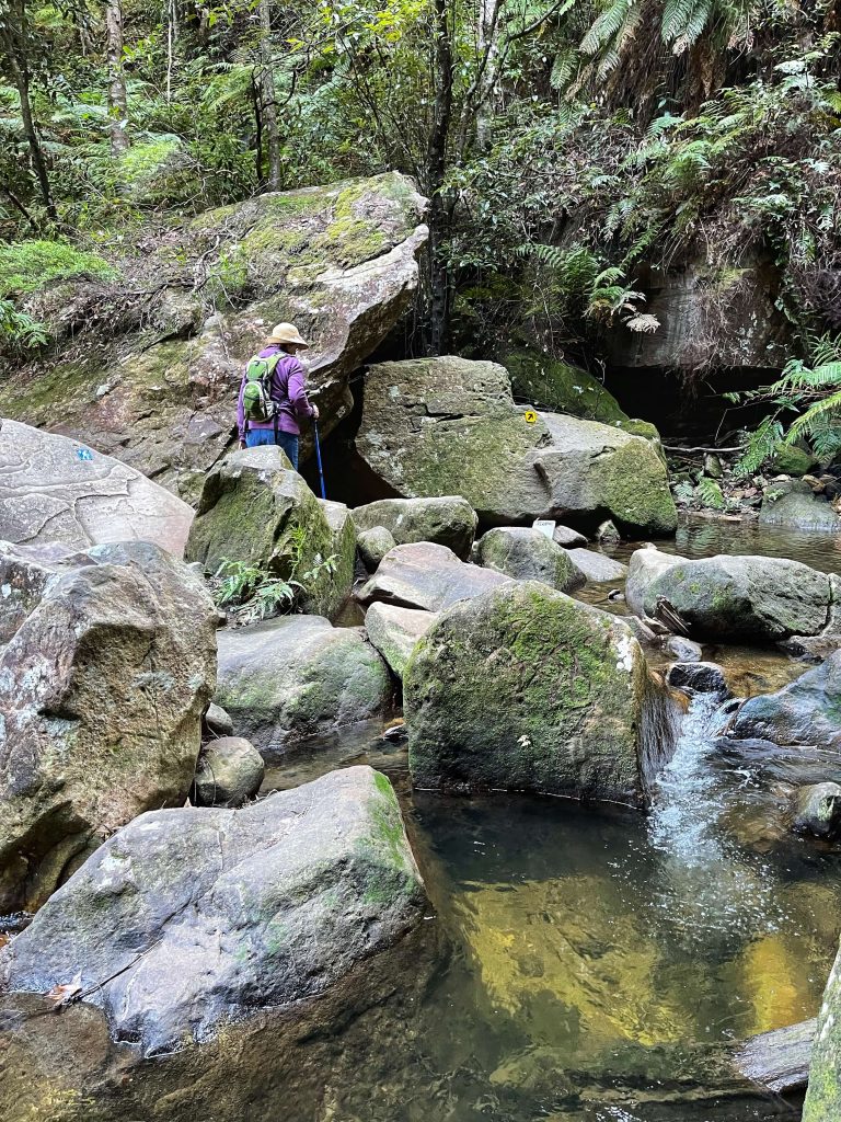 Valley of the Waters loop track via Slack Stairs Wentworth Falls