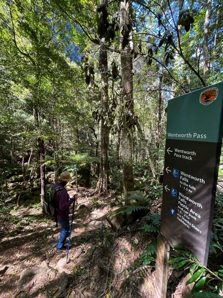 Valley of the Waters loop track via Slack Stairs Wentworth Falls