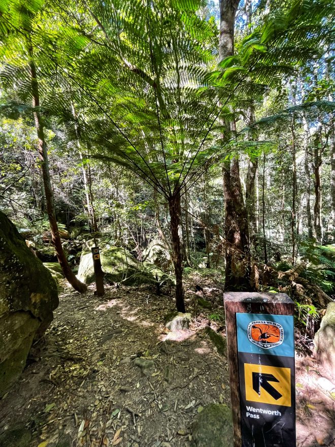 Valley of the Waters loop track via Slack Stairs Wentworth Falls
