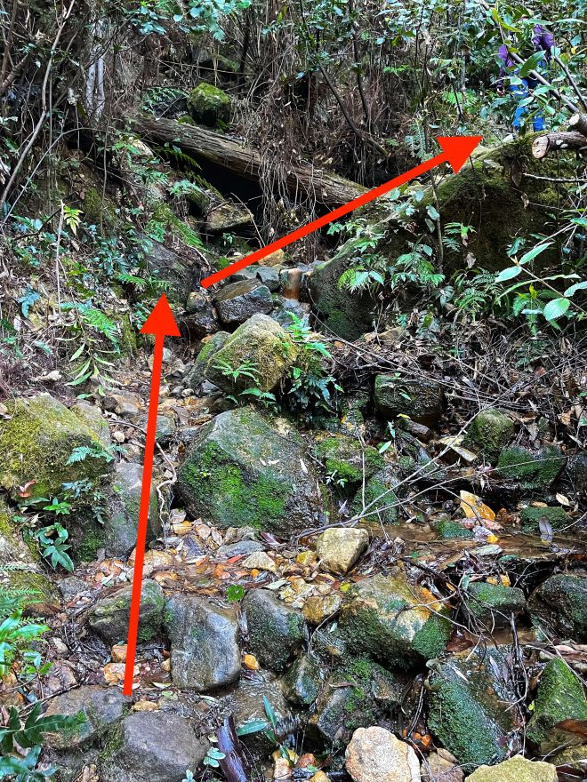 Valley of the Waters loop track via Slack Stairs Wentworth Falls