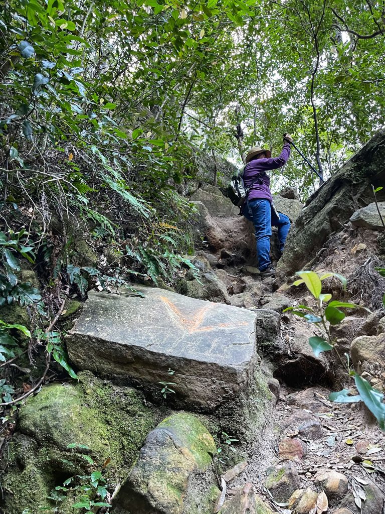 Valley of the Waters loop track via Slack Stairs Wentworth Falls