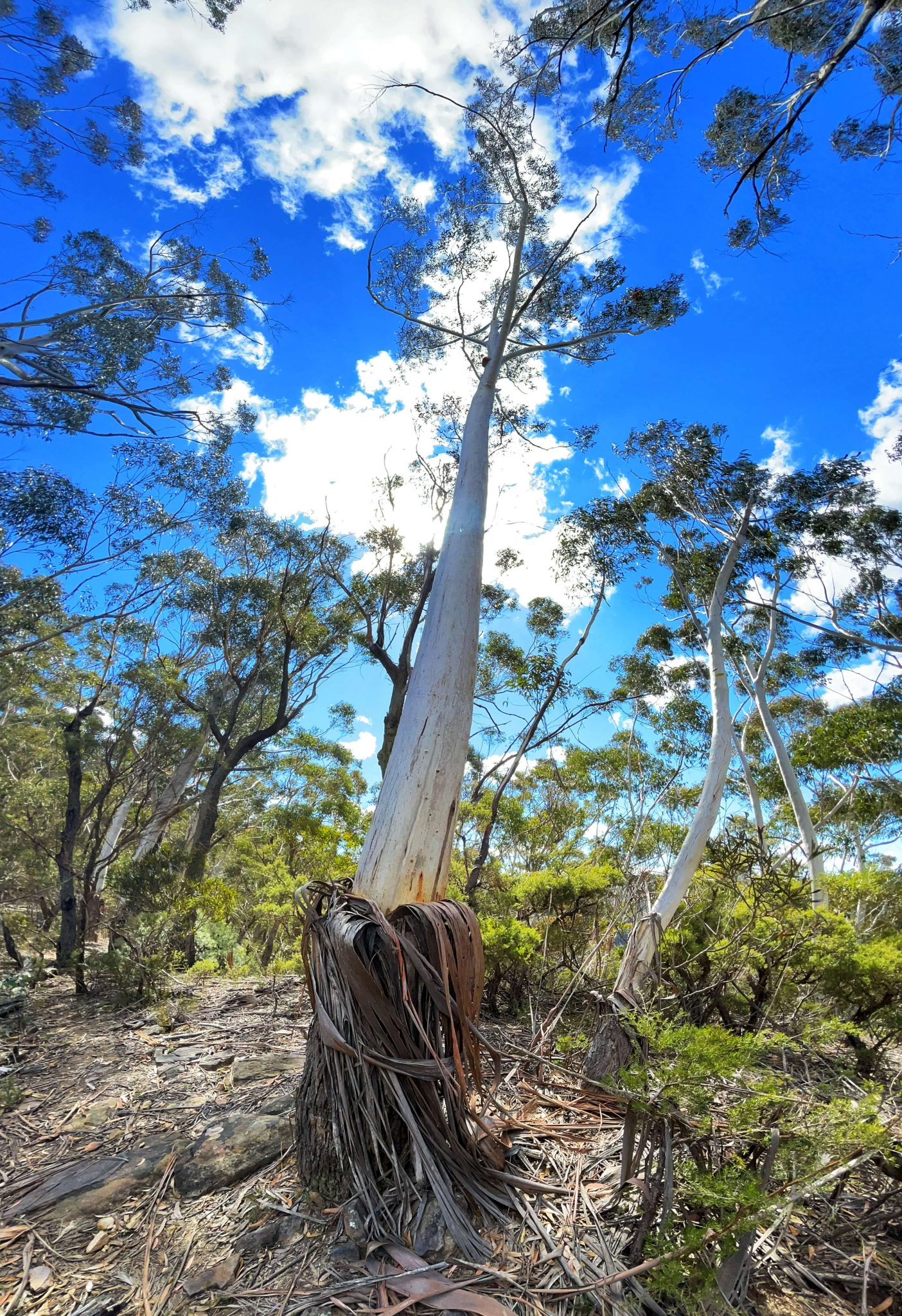Enjoy a walk in the Ngula Bulgarabang Regional Park