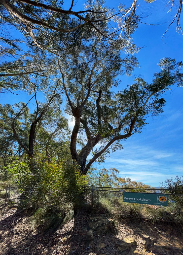 Perrys Lookout a stunning Blackheath Lookout