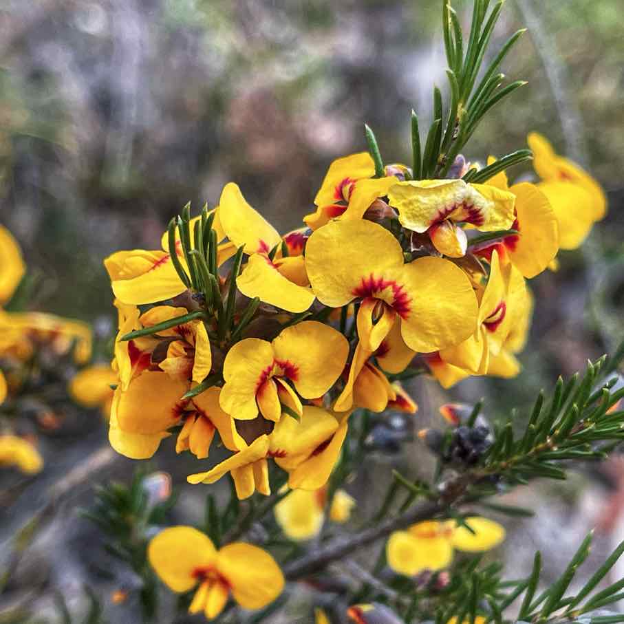 ARBM - IMG_8855 | Ask Roz