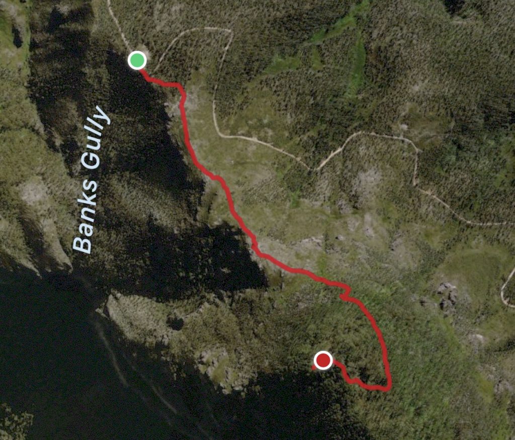 Mount Banks Summit walk